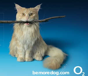 O2 enters 4G fray by encouraging UK to ‘be more dog’