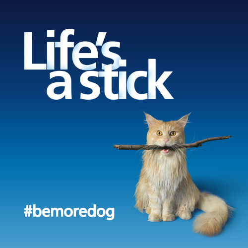 O2 brings back ‘Be More Dog’ ad to herald revamped app