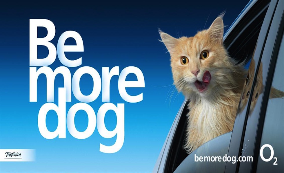 O2 set to end long-running ‘Be More Dog’ campaign