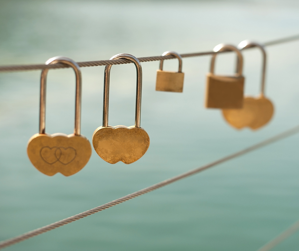 What is the future of loyalty?