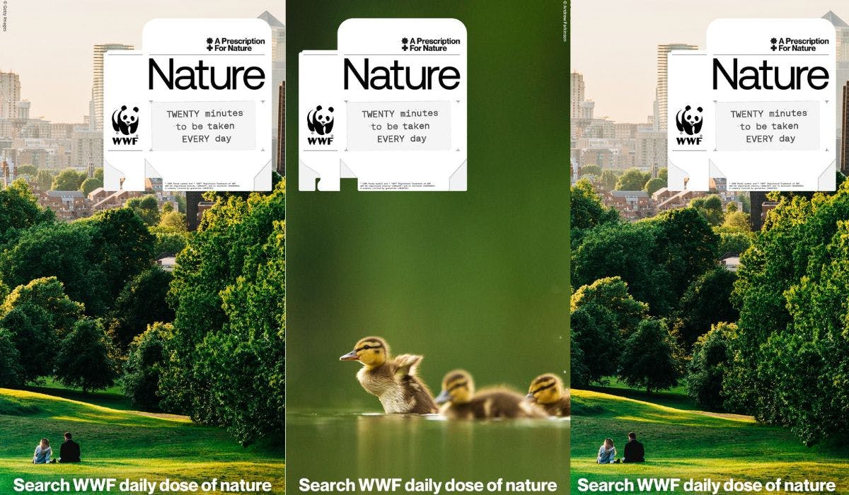 Why charity WWF decided to ‘think more like a brand’